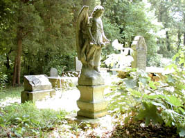 Hawes Family Cemetery - Person Page 119